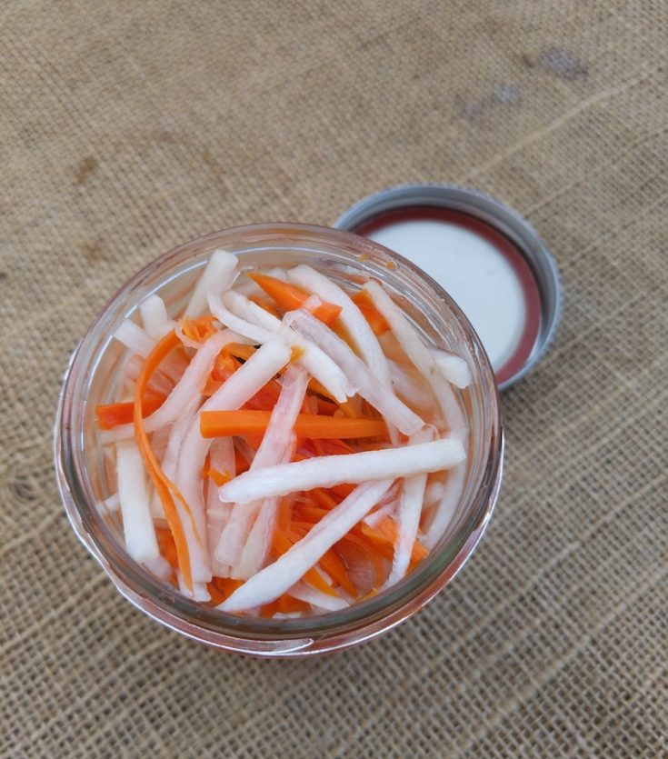 Vietnamese Pickled Daikon and Carrot (Đồ Chua) Recipe - Schimiggy